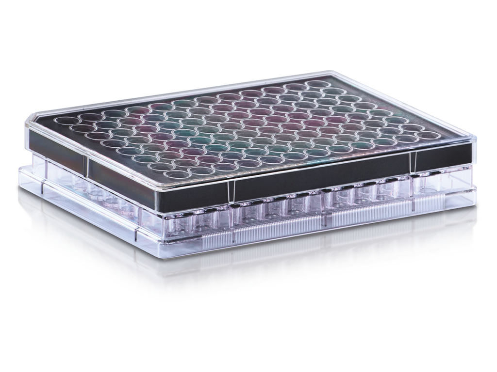 Safety Datasheet: Incucyte® Nuclight Rapid Red Dye Safety Data Sheet ...